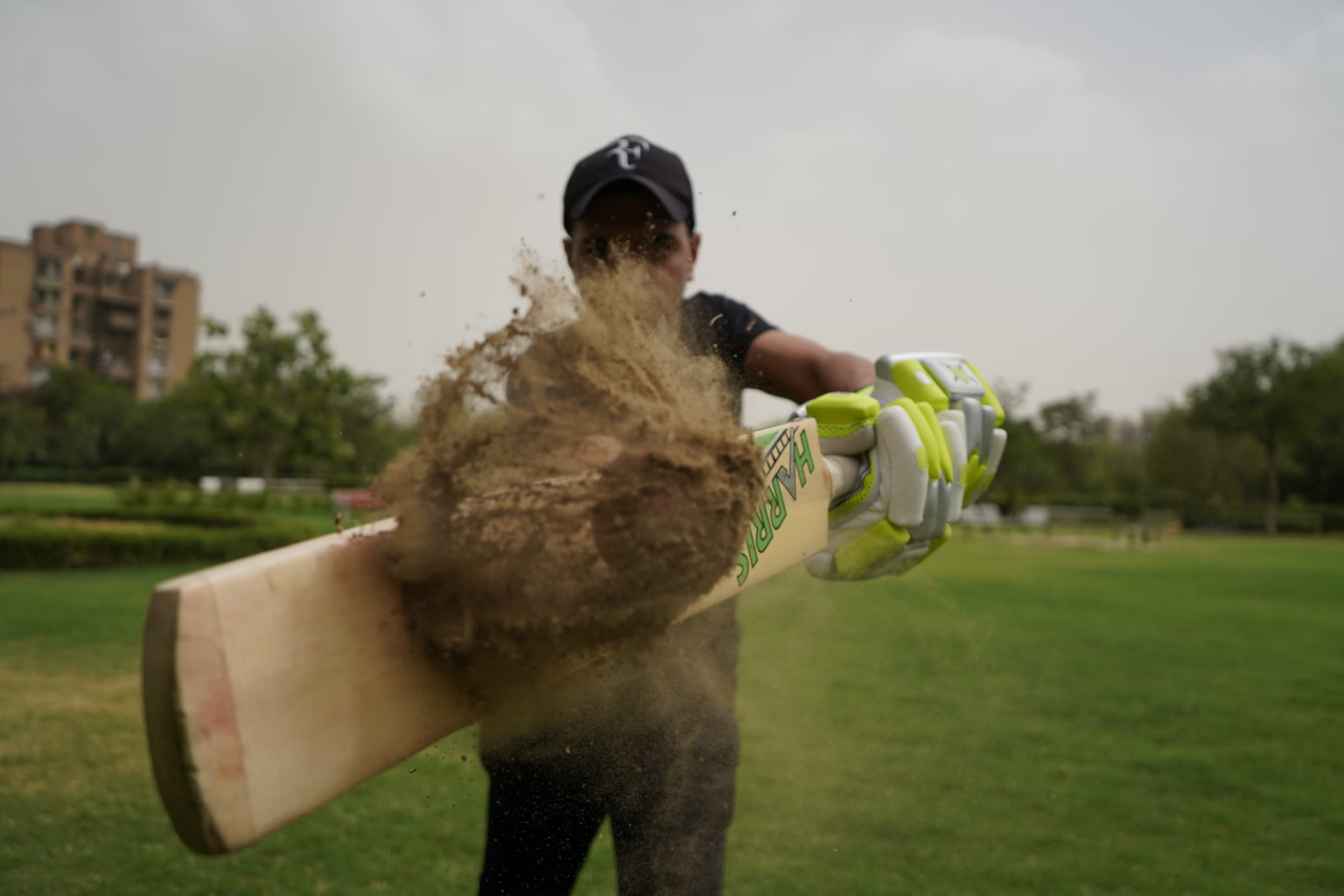 The Cricket Bat: Everything You Need to Know - Entrepreneurship Life